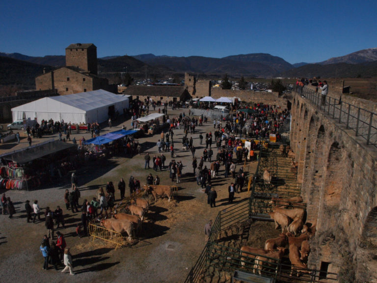 Feria de la Trufa Negra del Pirineo - Aínsa Sobrarbe Feria de la Trufa Negra del Pirineo - Aínsa Sobrarbe